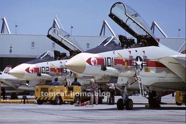 Old School Tomcat – THE SCALE MODEL HANGAR