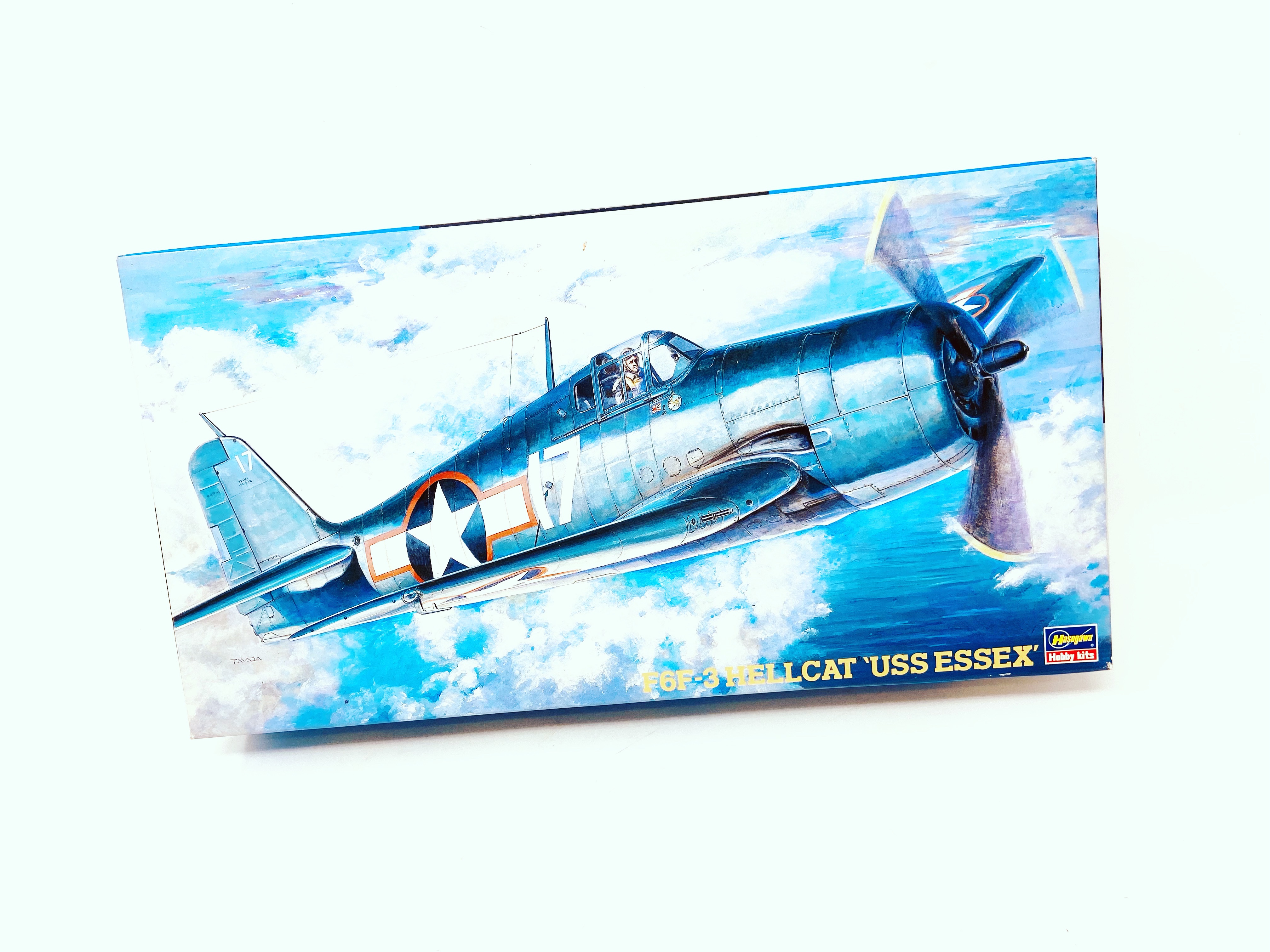 True Blue. Hasegawa’s 1/48 F6F-3 Hellcat. – THE SCALE MODEL HANGAR